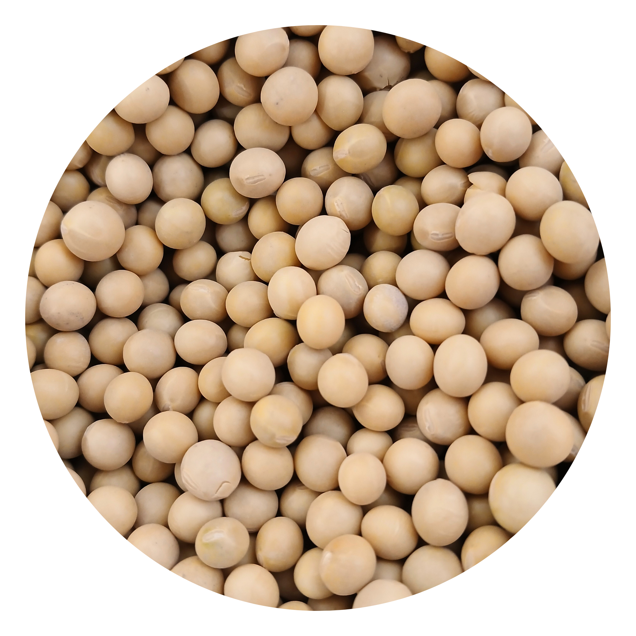 Soijapapu, luomu - Punnitse & Säästä